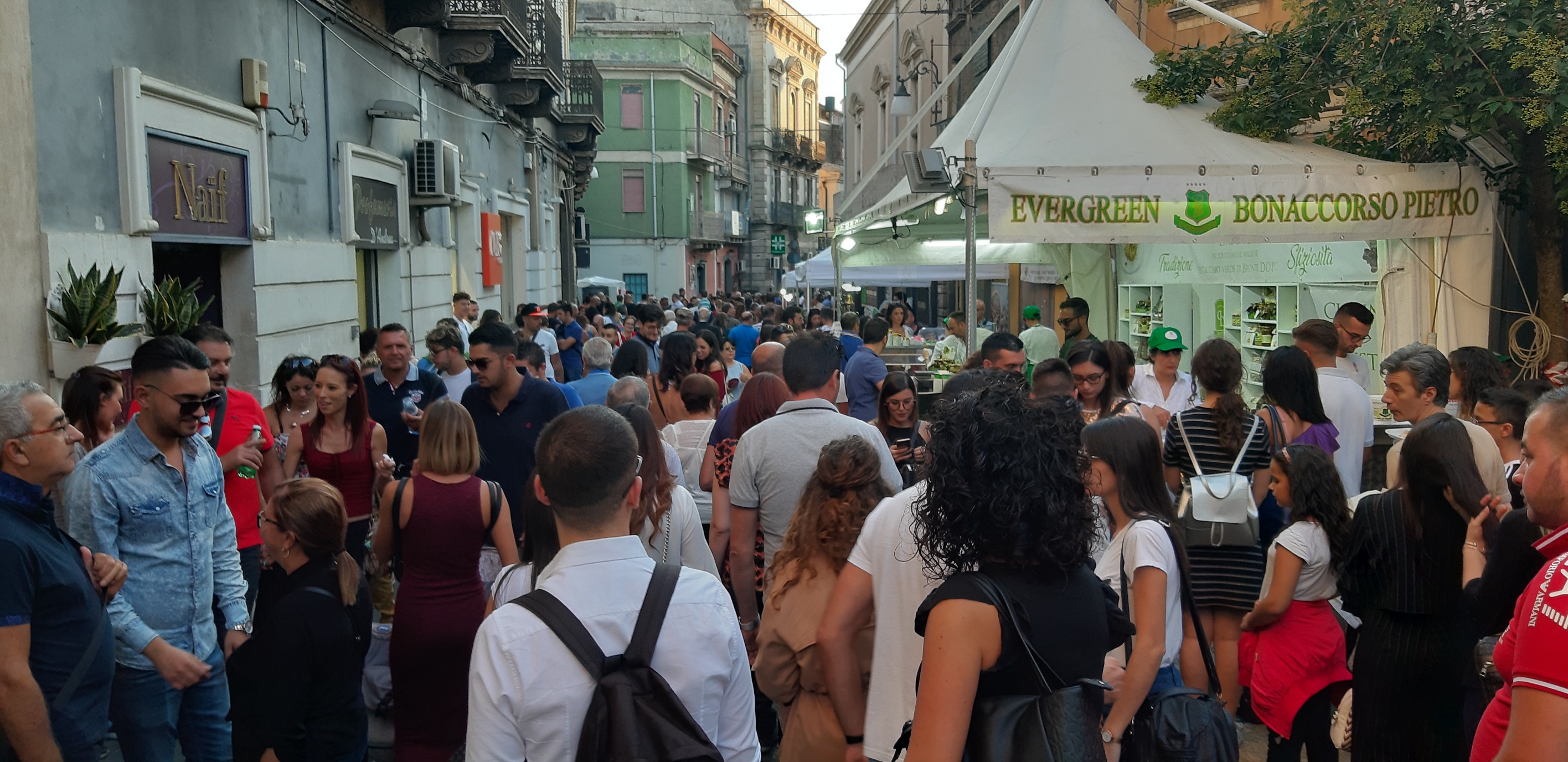 "Expo del pistacchio" di Bronte, grande partecipazione di pubblico all ...